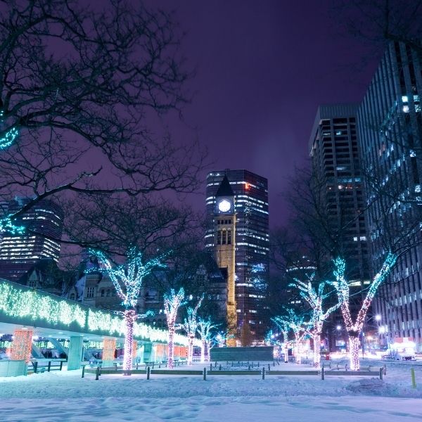 The Complete Guide to Toronto’s Winter for International Students - LiwinCo