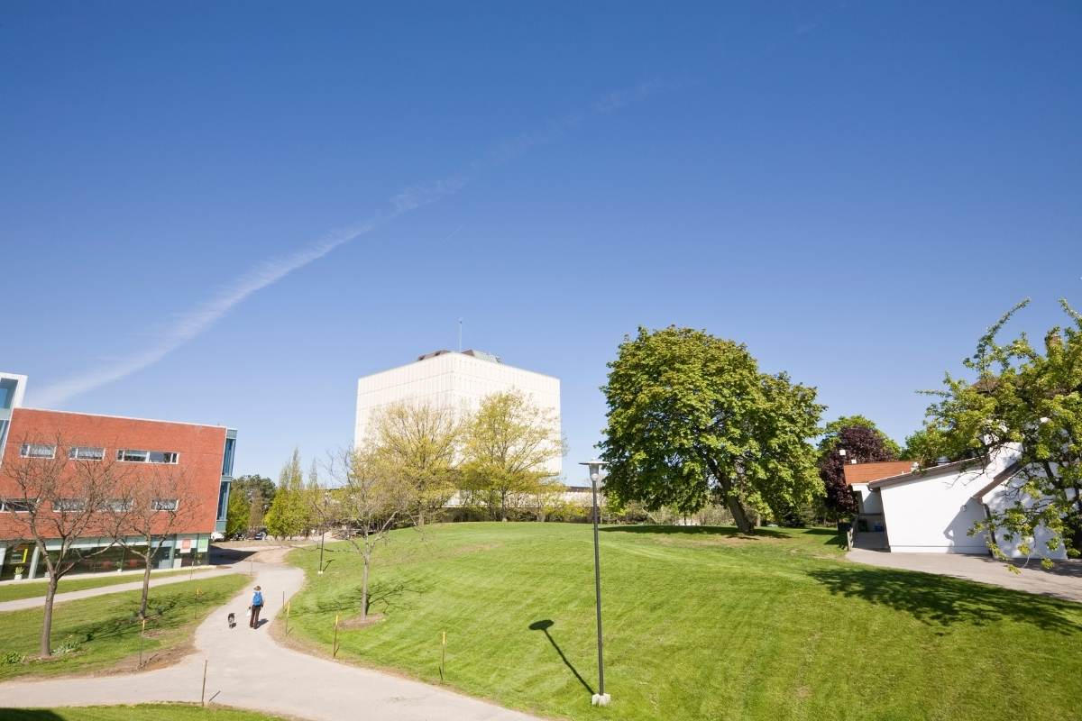 University of Waterloo Acceptance Rate - LiwinCo