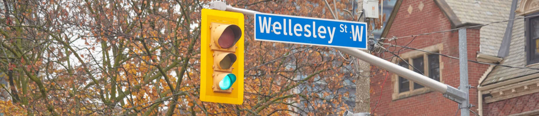 Wellesley Street West City Guide - LiwinCo