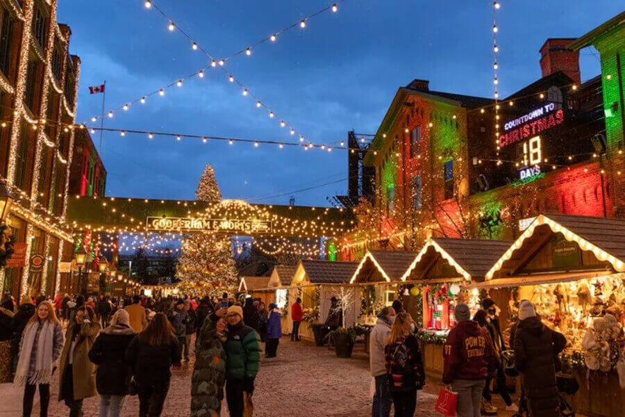 What to Do in Toronto in November: A Student’s Guide to the City - LiwinCo